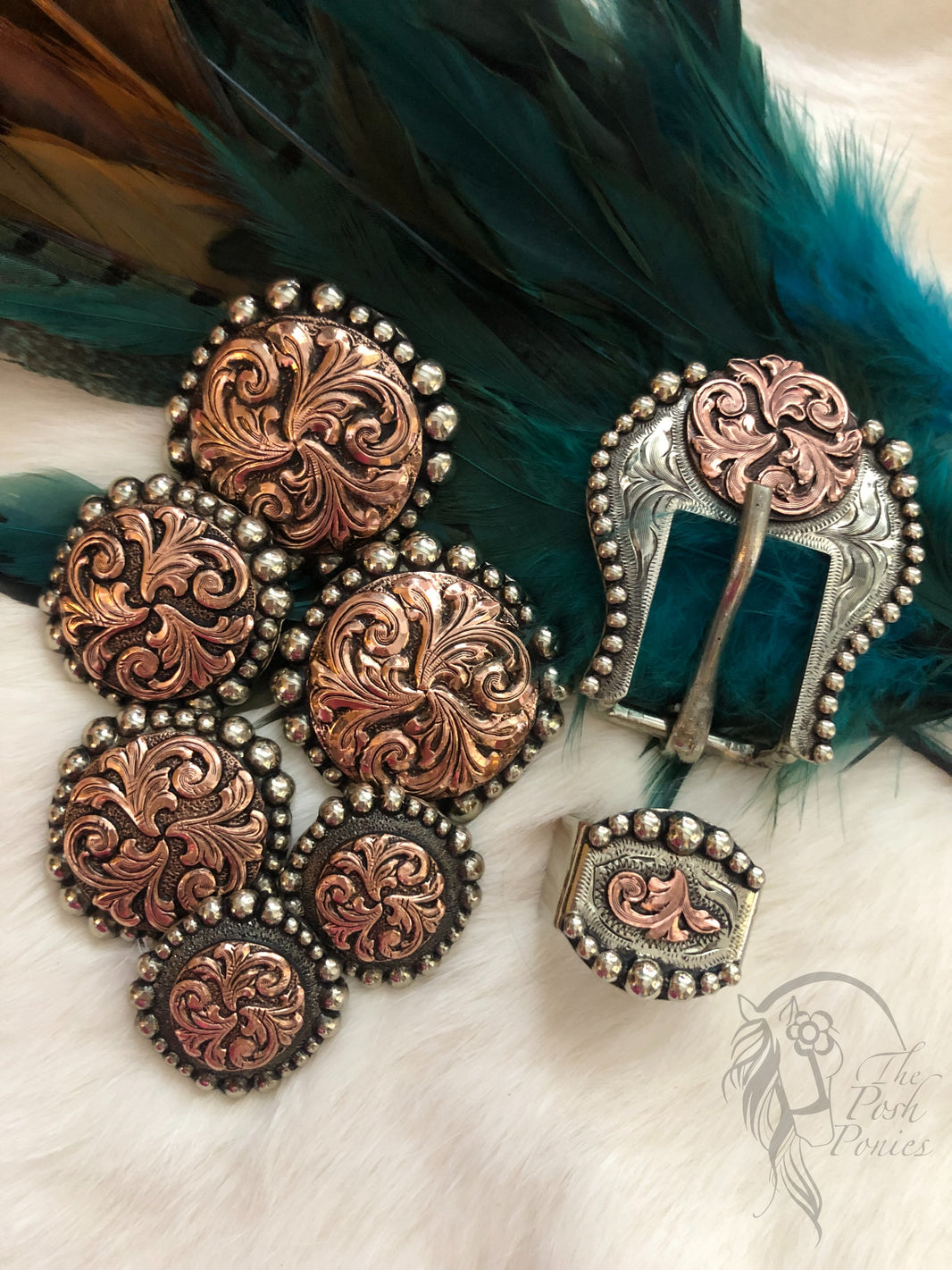 Chicago Conchos & Buckles – ThePoshPonies