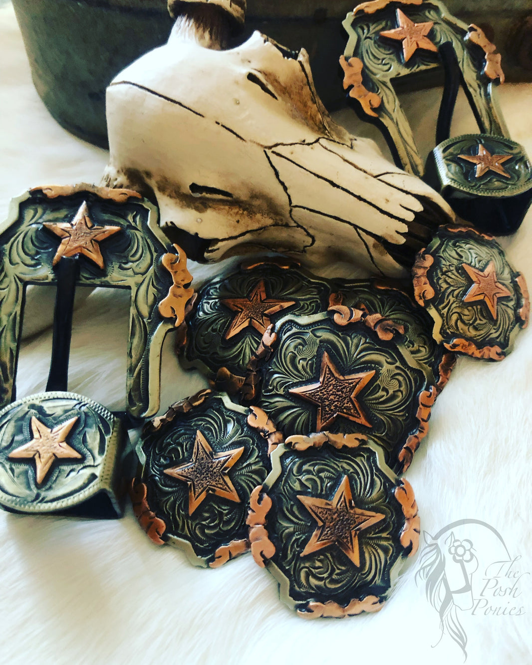Chicago Conchos & Buckles – Page 2 – ThePoshPonies