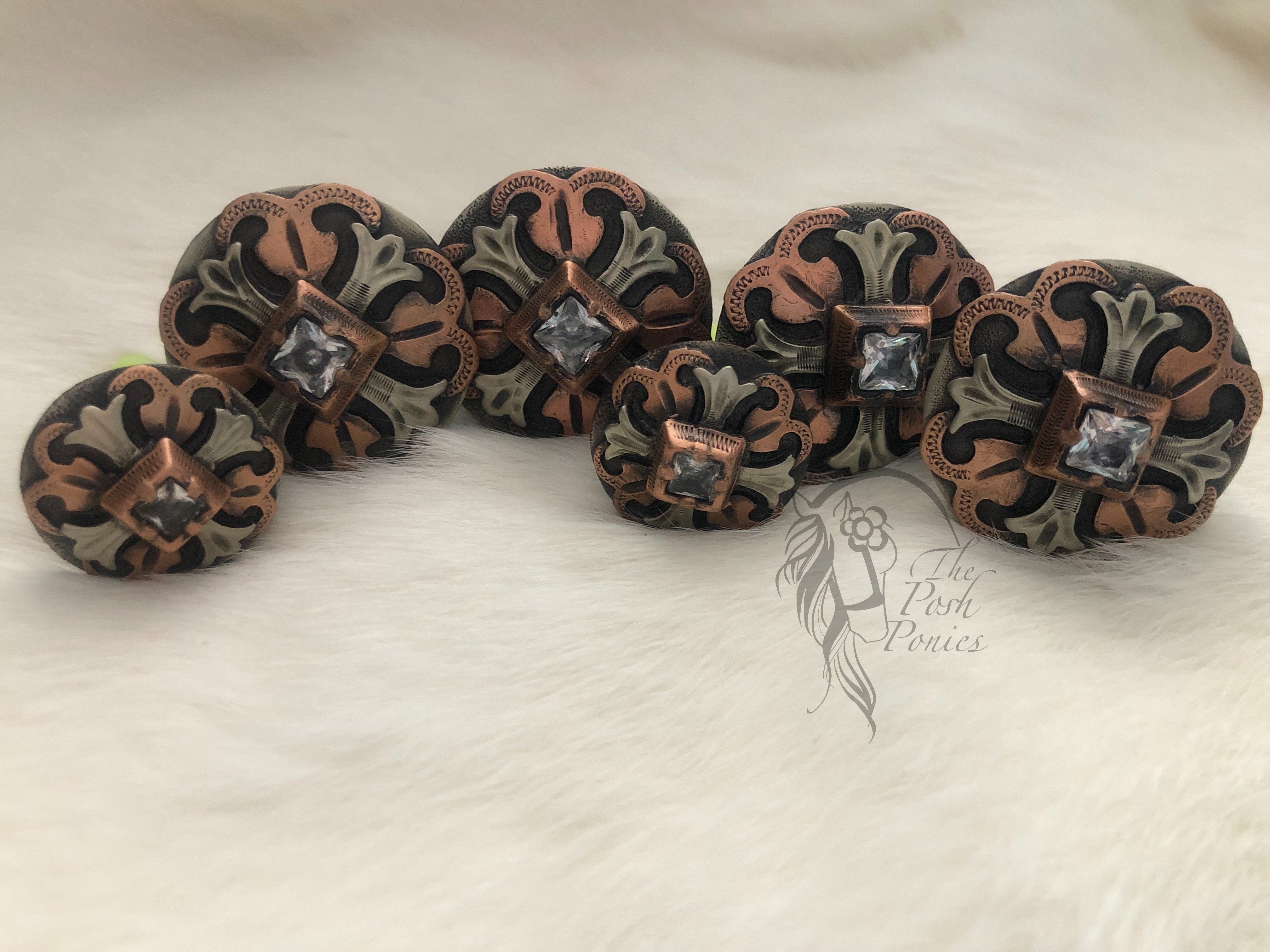 Saddle Concho Sets – Page 2 – ThePoshPonies
